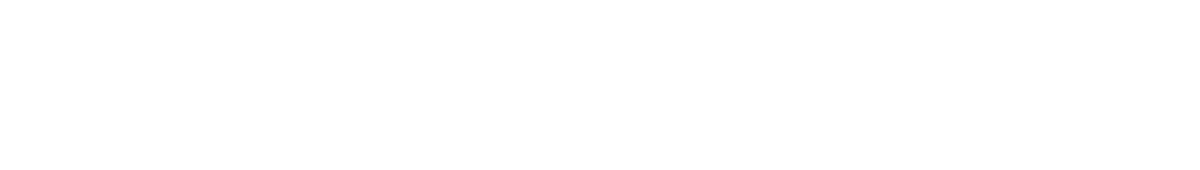 Nabse Logo